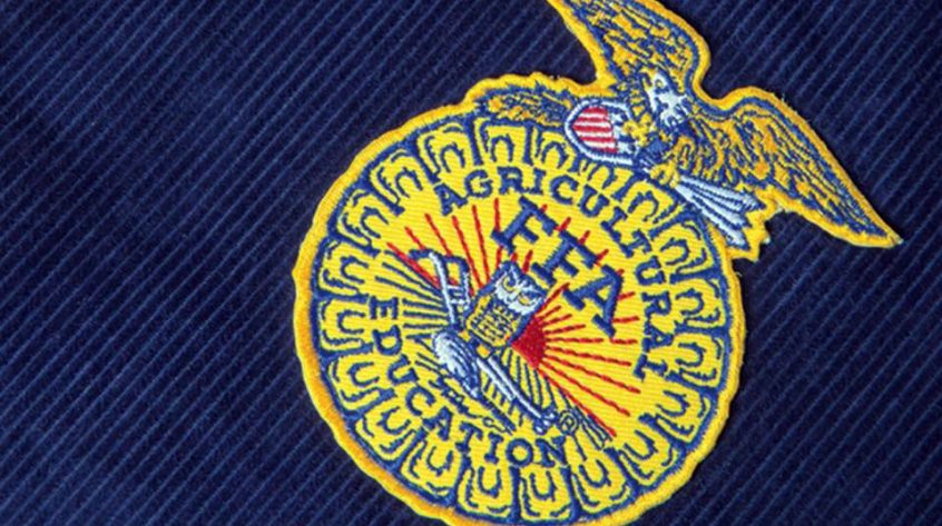 Introducing the New Florida FFA Officer Volunteers | Citrus Expo