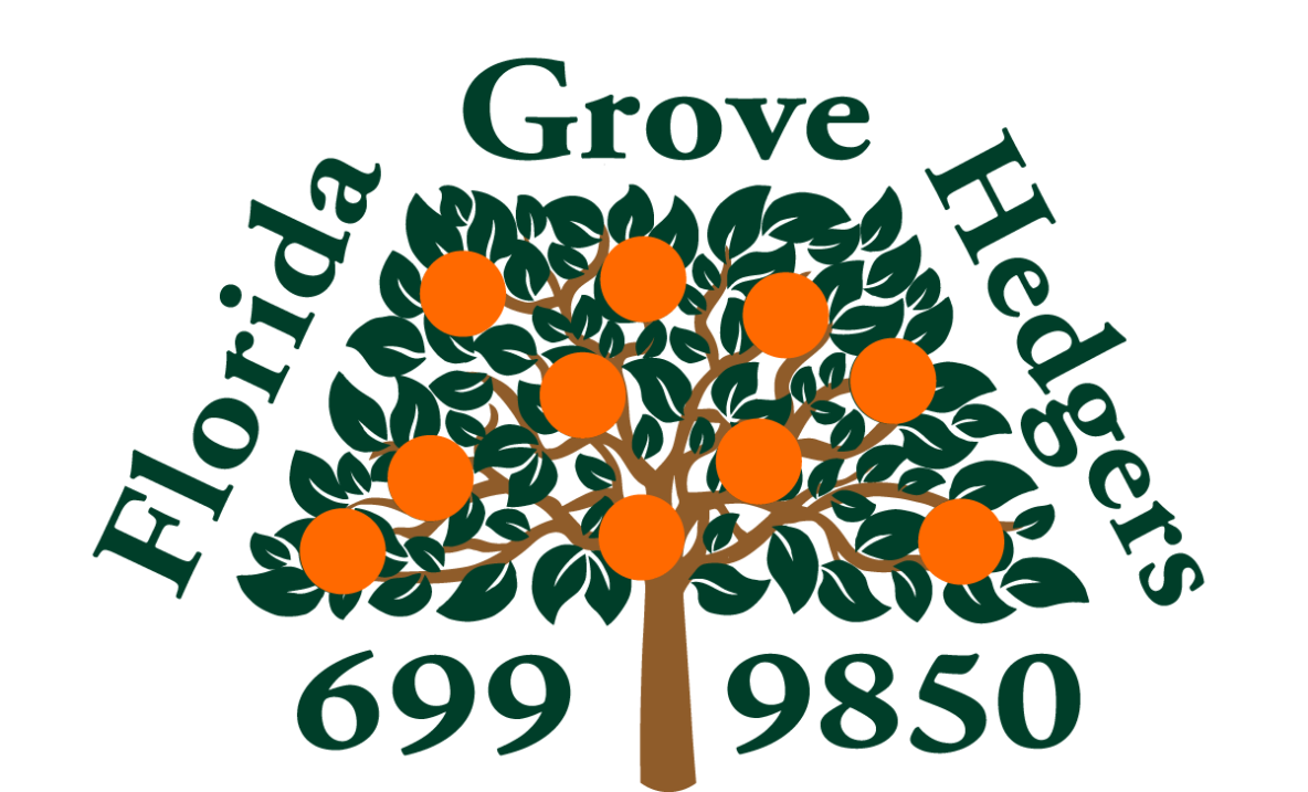 Thank You for Making the 2025 Citrus & Specialty Crop Expo a Success ...